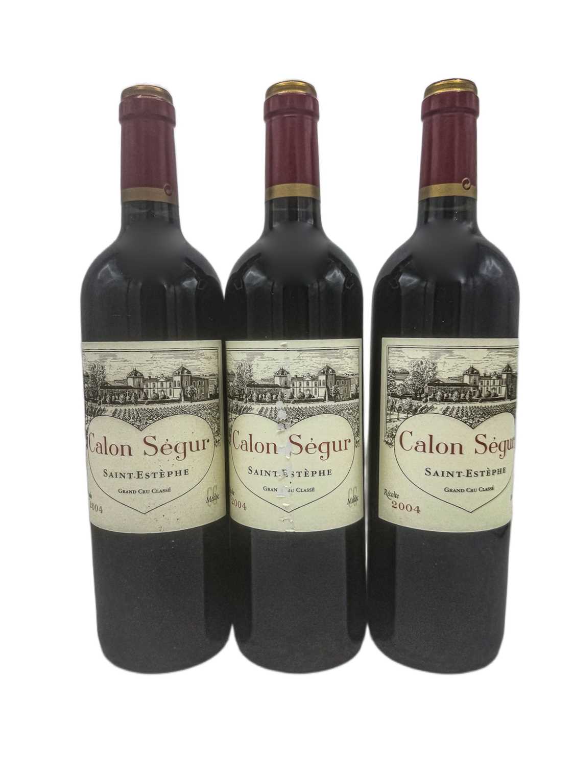 Lot 94 - 9 bottles 2004 Ch Calon Segur
